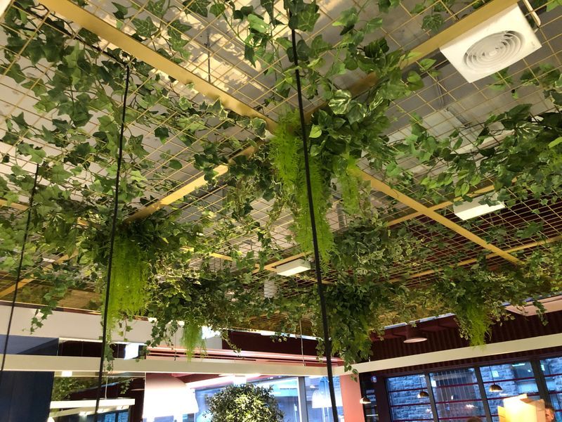 Bespoke Artificial Planting for Ceiling and Canopy - Design Example