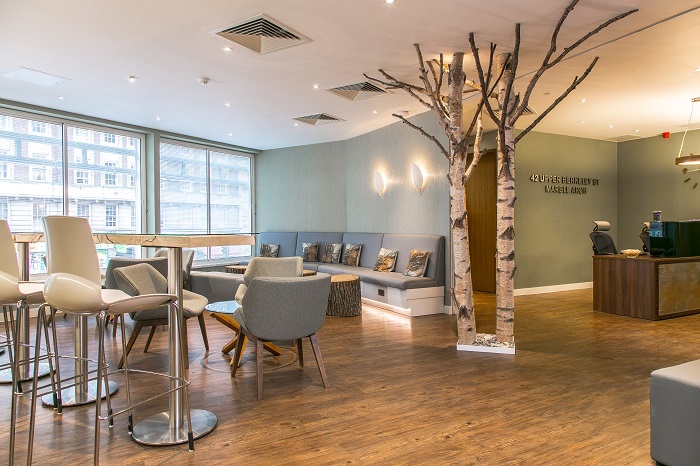 Bespoke Preserved Bare Birch Trees - Design Example