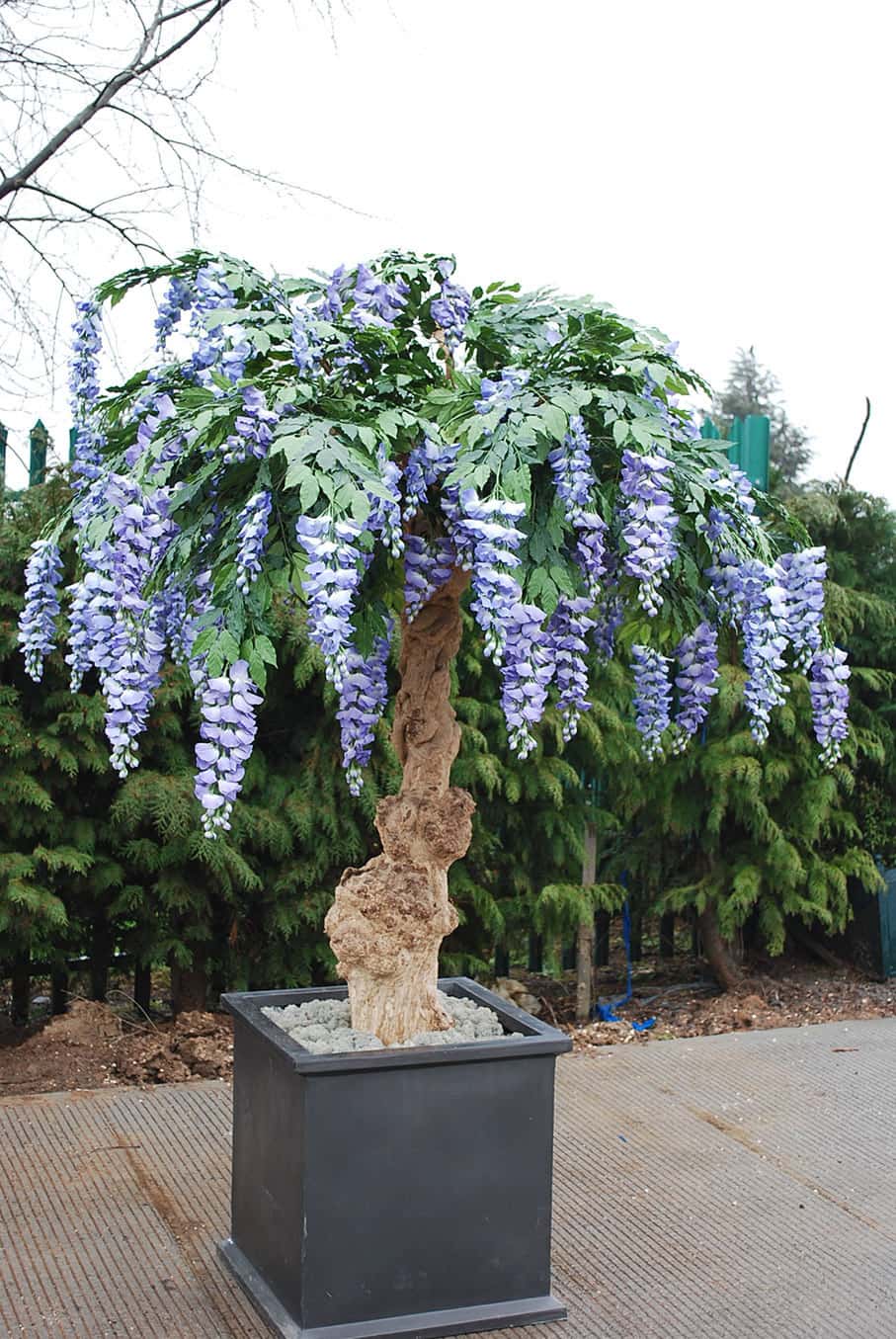Bespoke Artificial Wisteria Trees - Design Example