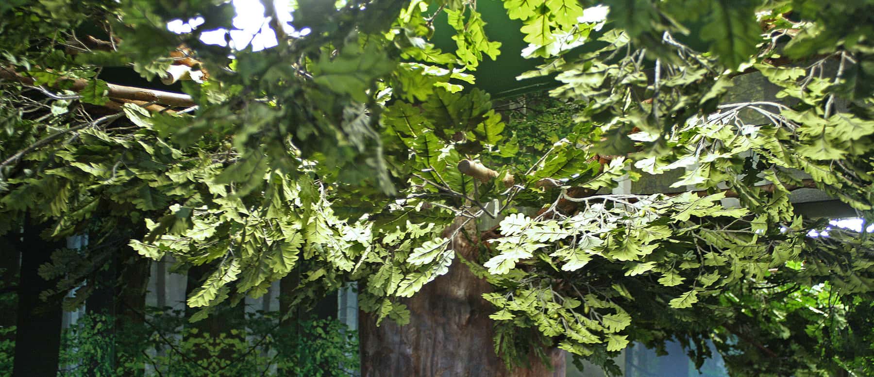 Bespoke Artificial Enchanted Forest - Design Example