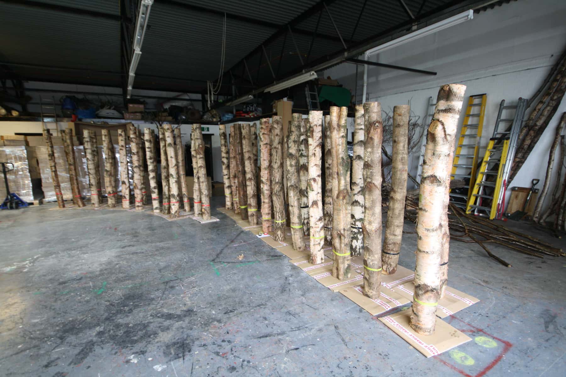 Bespoke Preserved Birch Poles - Design Example