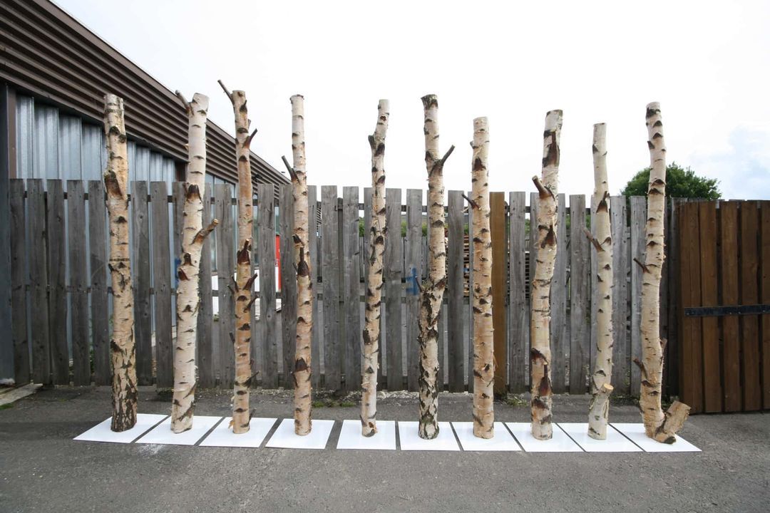 Bespoke Preserved Birch Poles - Design Example