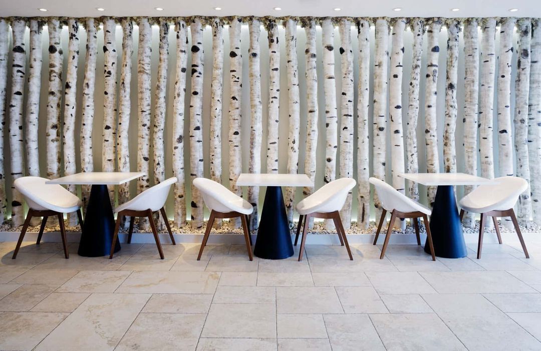 Bespoke Preserved Birch Poles - Design Example