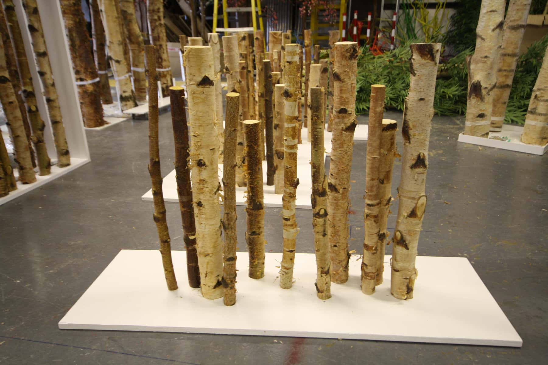 Bespoke Preserved Birch Poles - Design Example