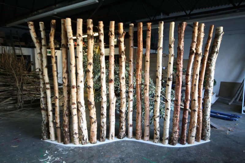 Bespoke Preserved Birch Poles - Design Example