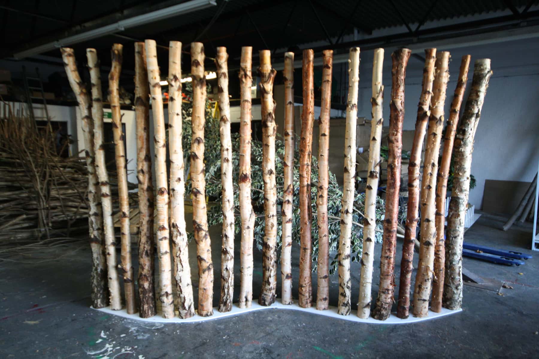 Bespoke Preserved Birch Poles - Design Example