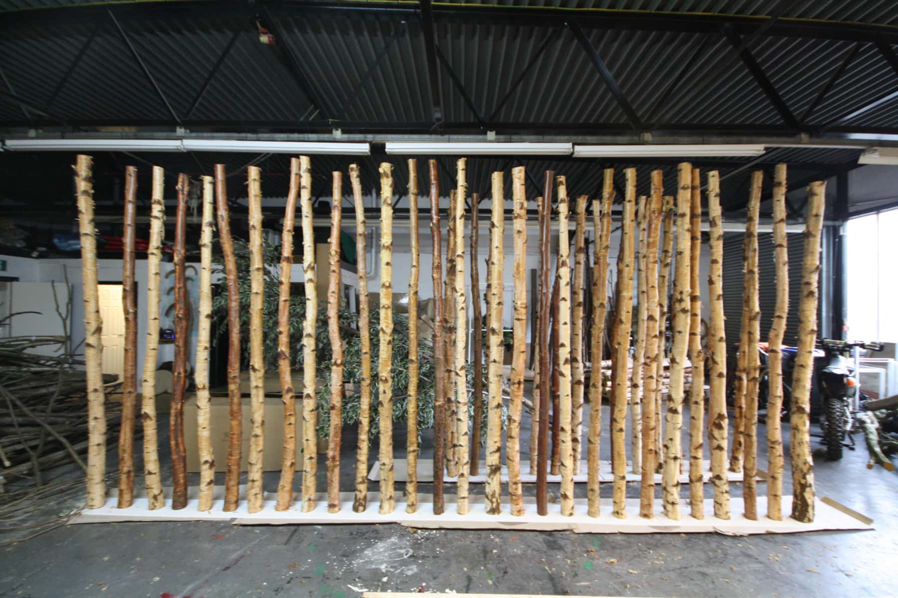 Bespoke Preserved Birch Poles - Design Example