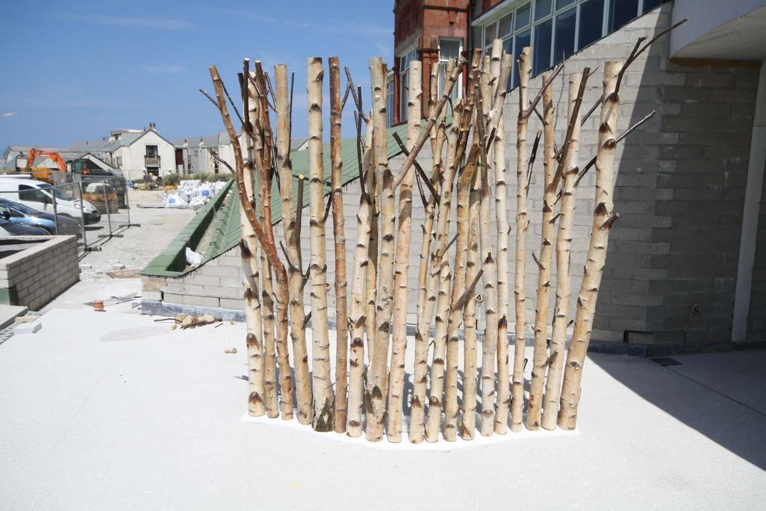 Bespoke Preserved Birch Poles - Design Example