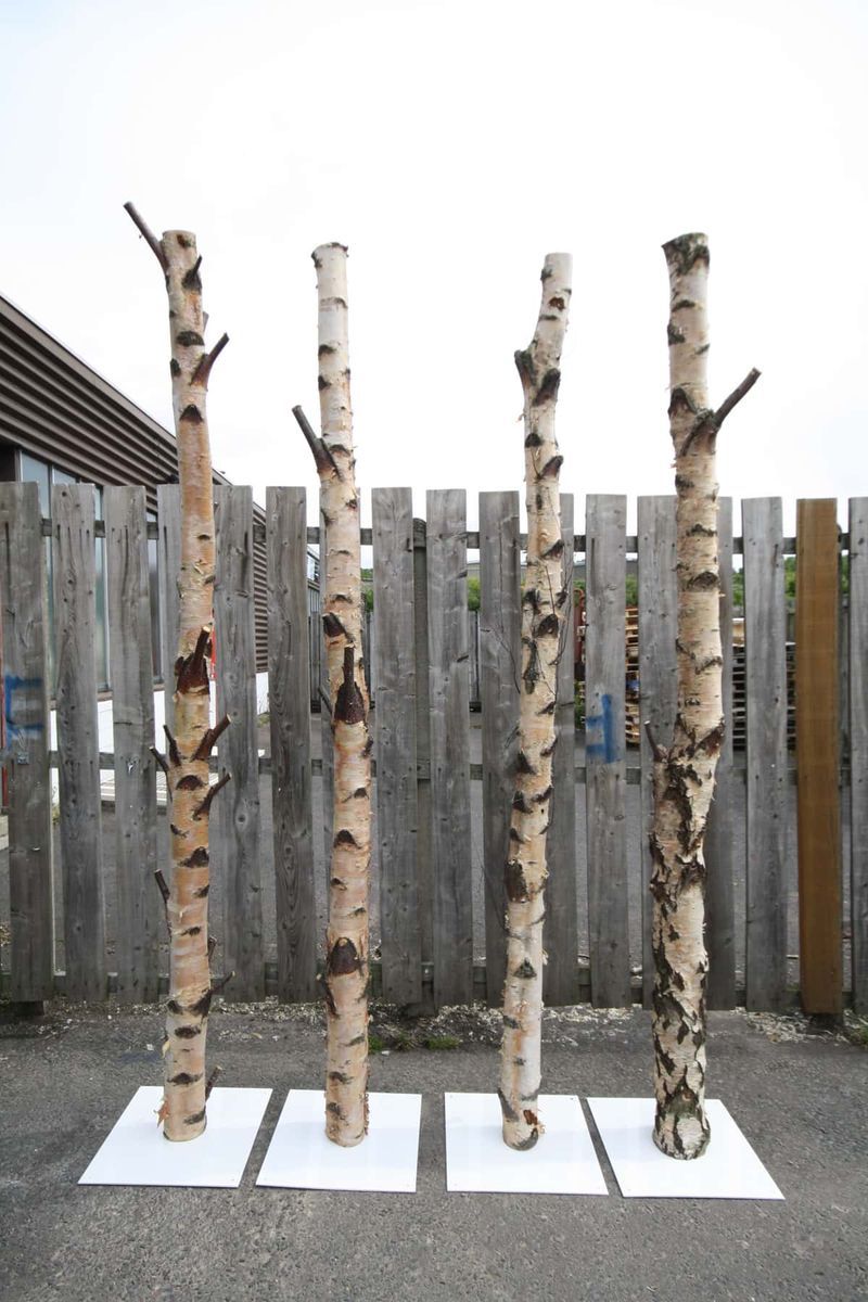 Bespoke Preserved Birch Poles - Design Example