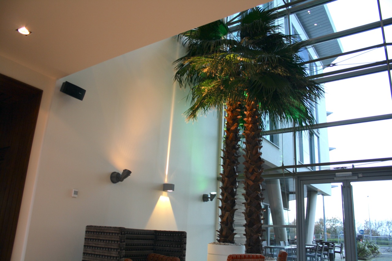 Bespoke Artificial Palm Trees - Design Example