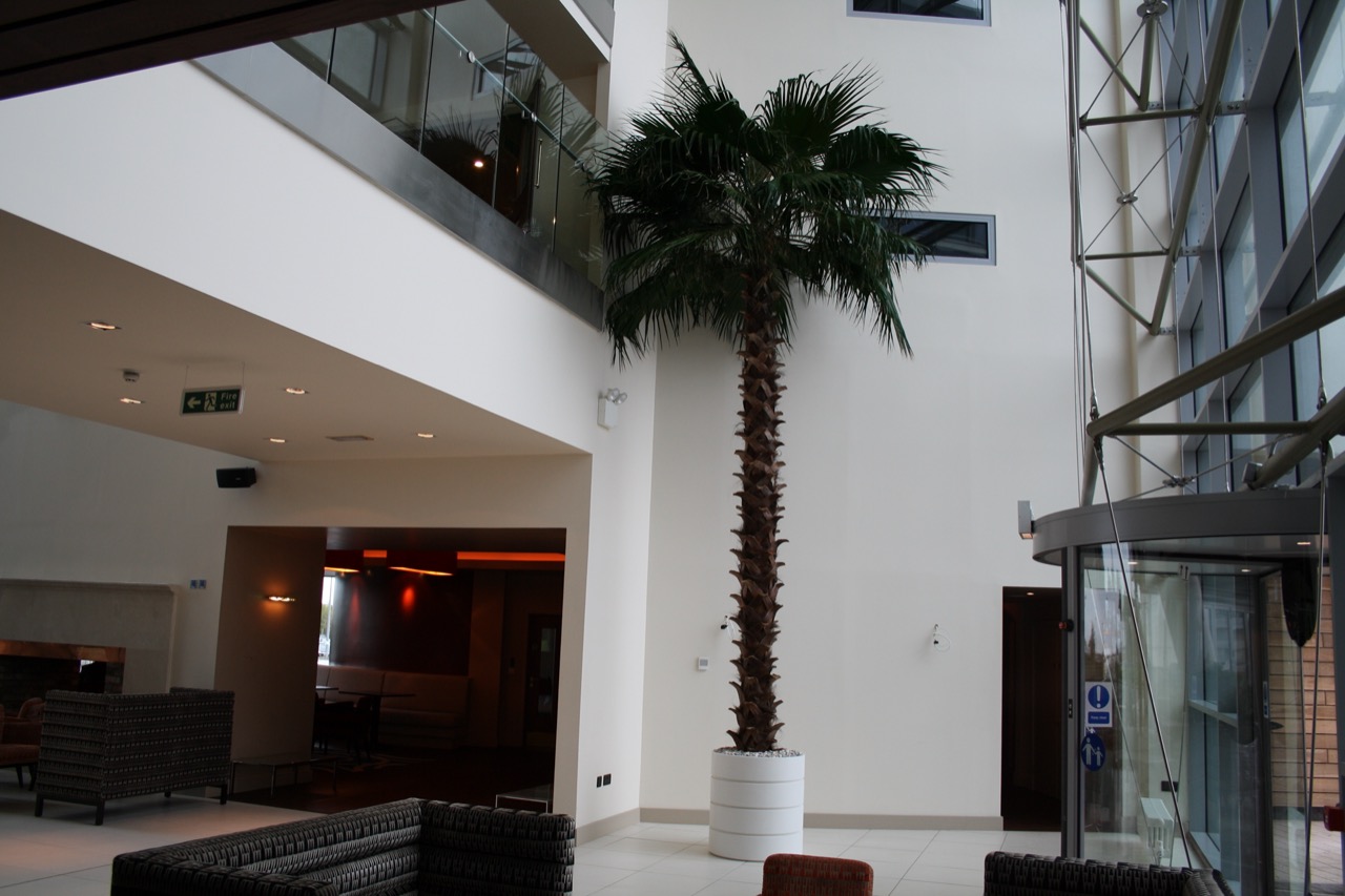 Bespoke Artificial Palm Trees - Design Example