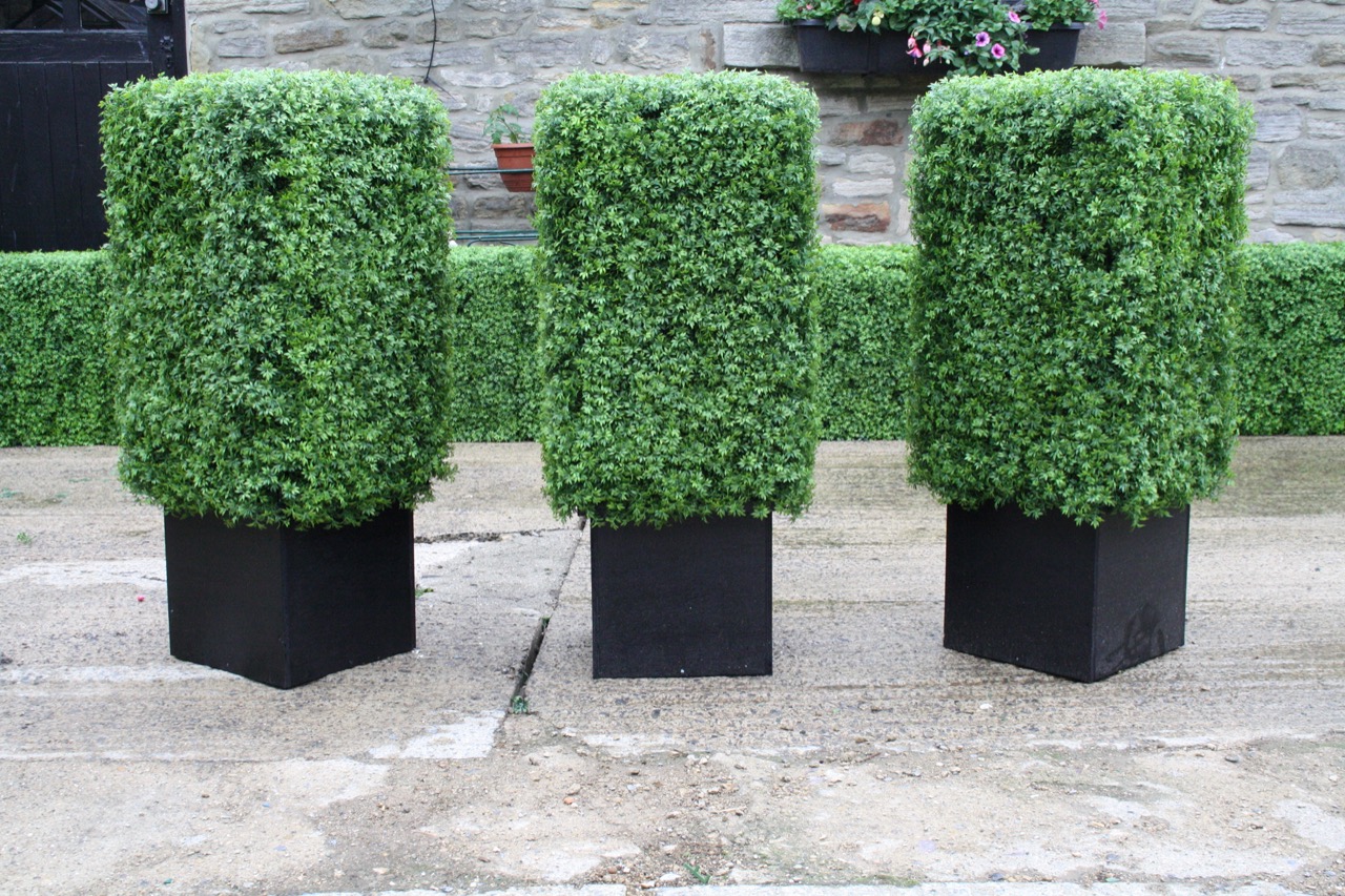 Bespoke Artificial Topiary Cube - Design Example