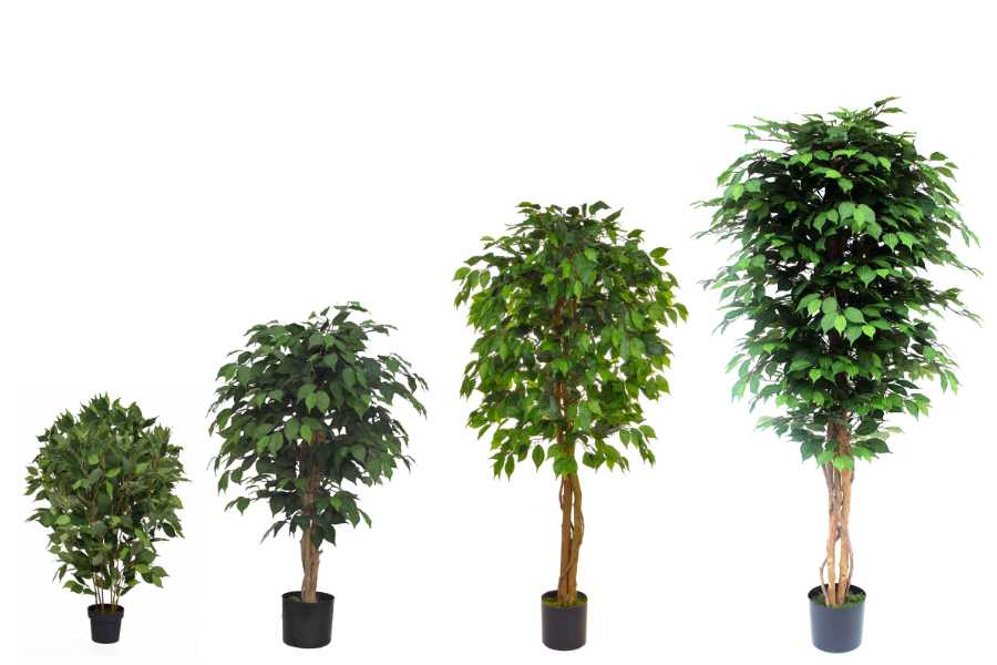 Bespoke Artificial Trees and Plants from plantART