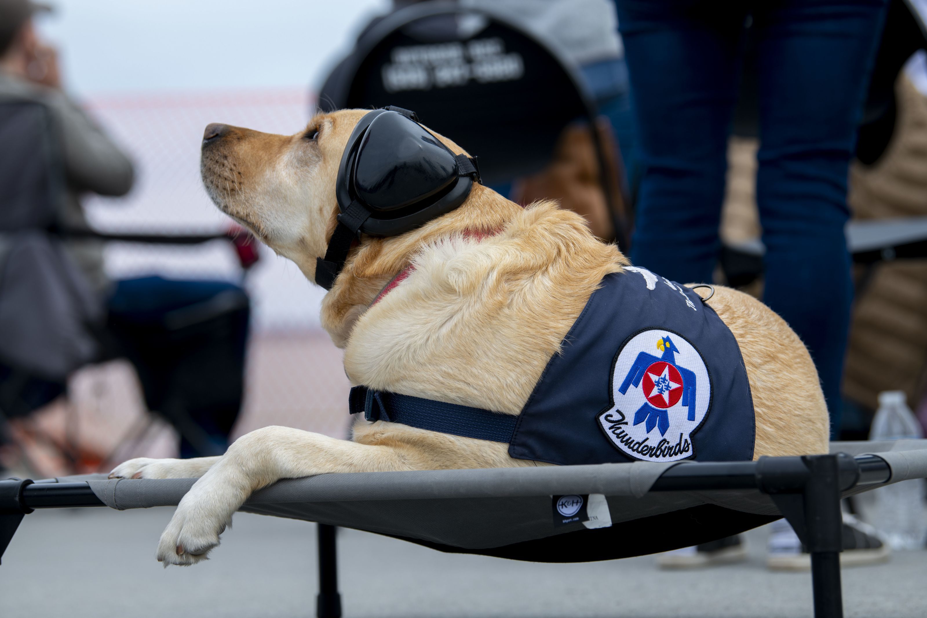 Marketing and Advertising | Air Show Network