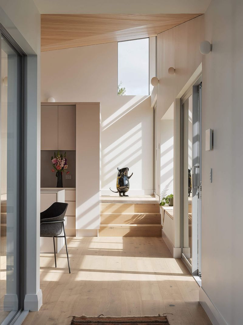 Wedge Tail | Pac Studio : Architecture, Interior Design & Spatial Strategy