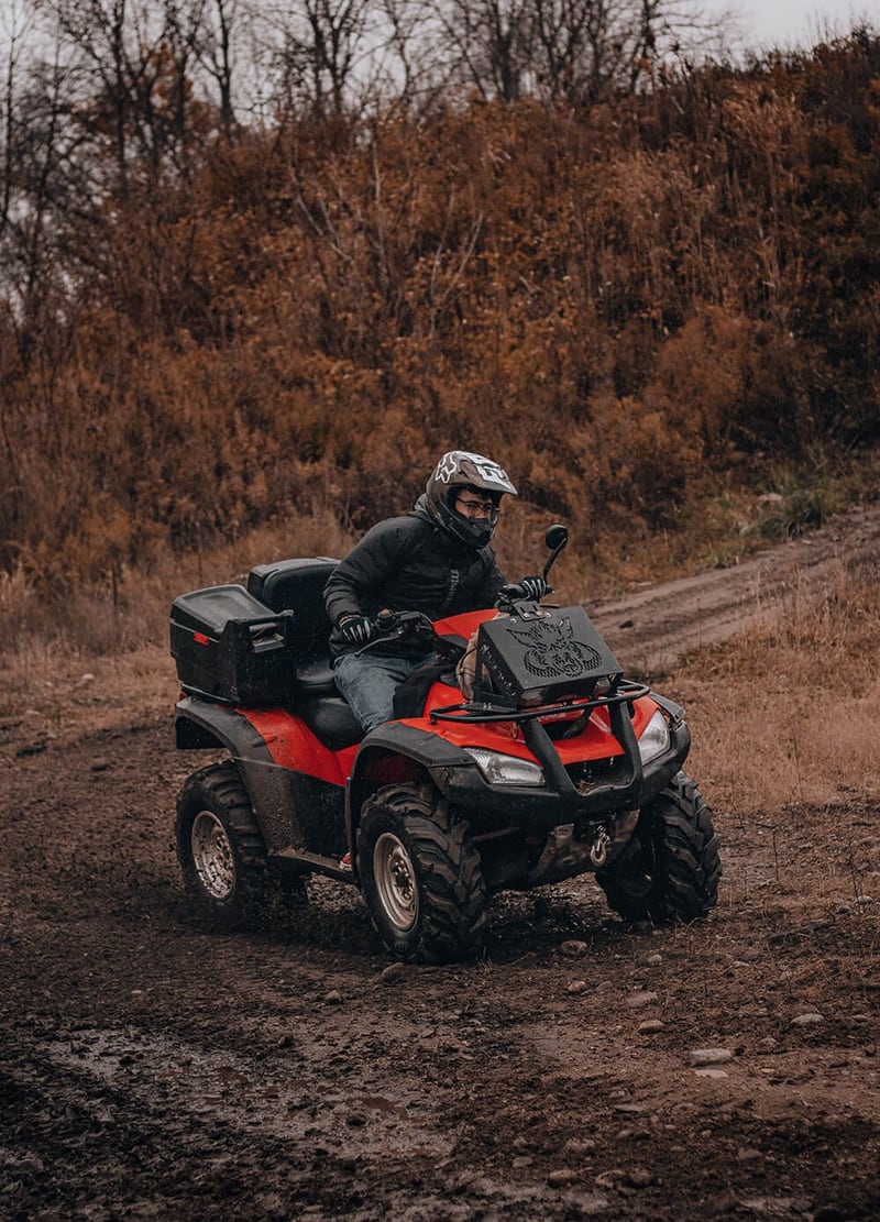 Bolt Farm Treehouse | 5-Star Mountaintop Wellness Resort