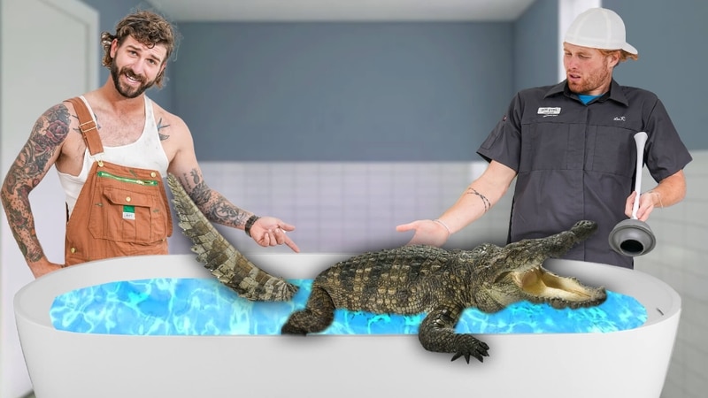 RossCreations | Premium Videos