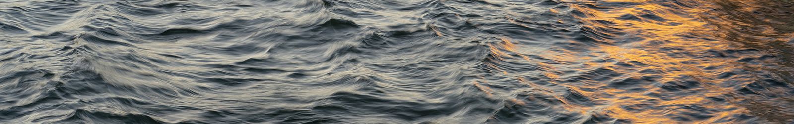 HydroForecast - Upstream Tech