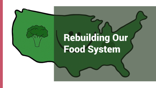 Educational Videos | The Food Fix Campaign