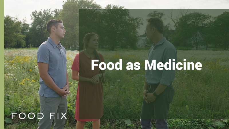 Educational Videos | The Food Fix Campaign