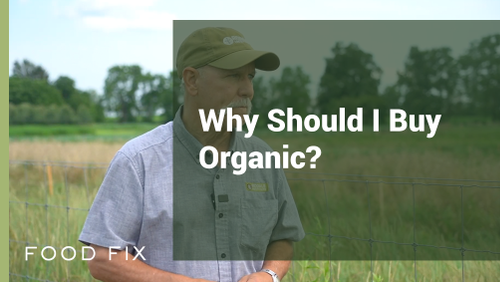 Educational Videos | The Food Fix Campaign