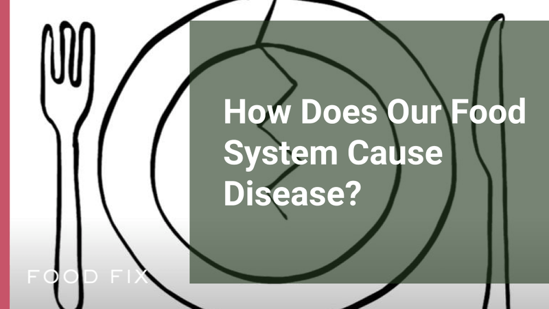 Educational Videos | The Food Fix Campaign