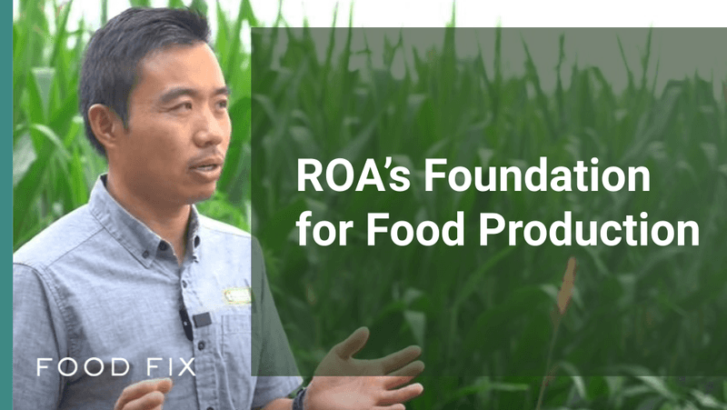 Educational Videos | The Food Fix Campaign