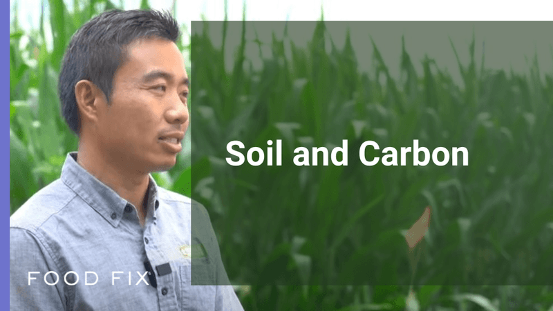 Educational Videos | The Food Fix Campaign