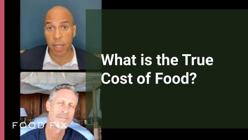 Educational Videos | The Food Fix Campaign