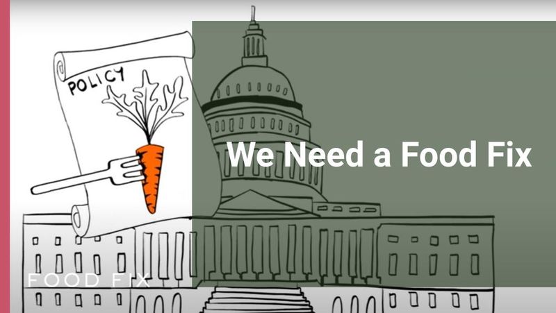 Educational Videos | The Food Fix Campaign