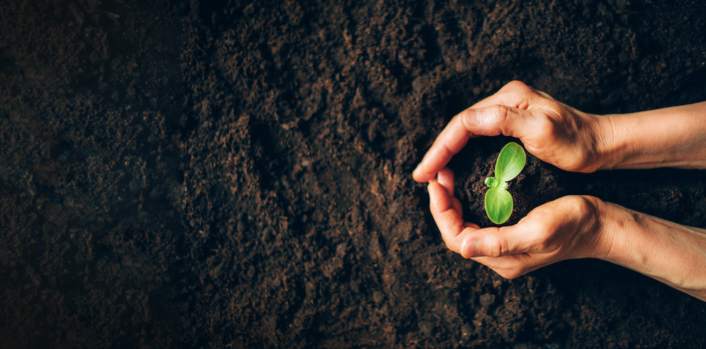 Whole Person Learning | For humans - not robots