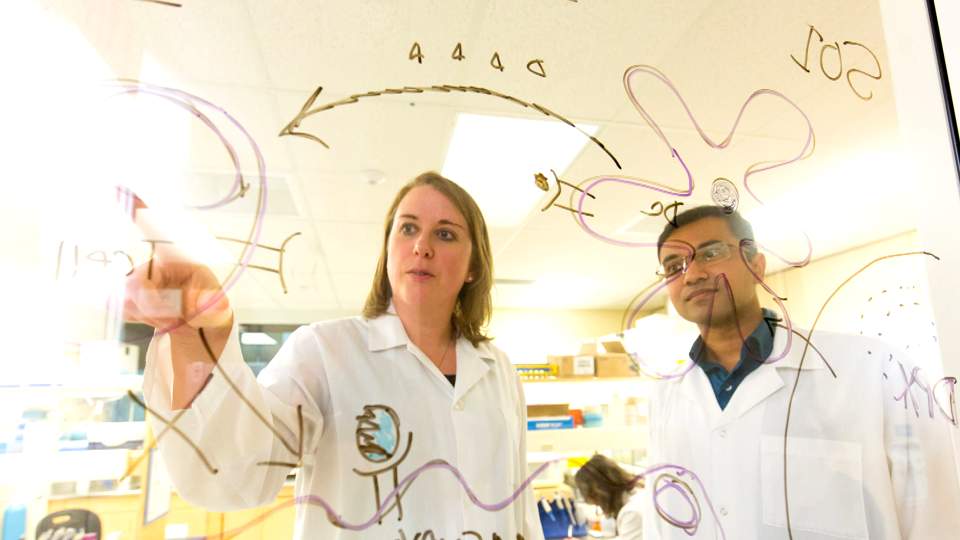 IMV: A New Type of Treatment for Cancer