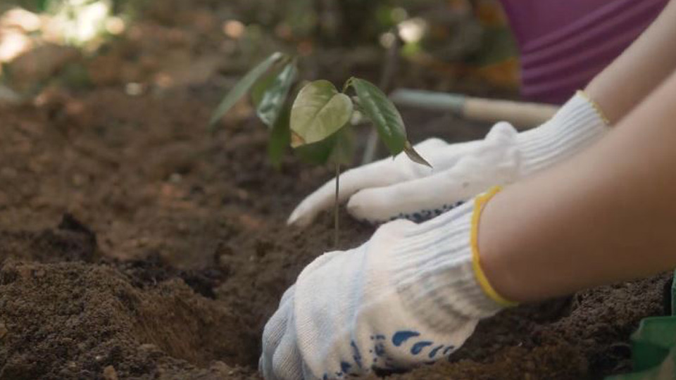 Bmo A Step Further Into Understanding Responsible Investing