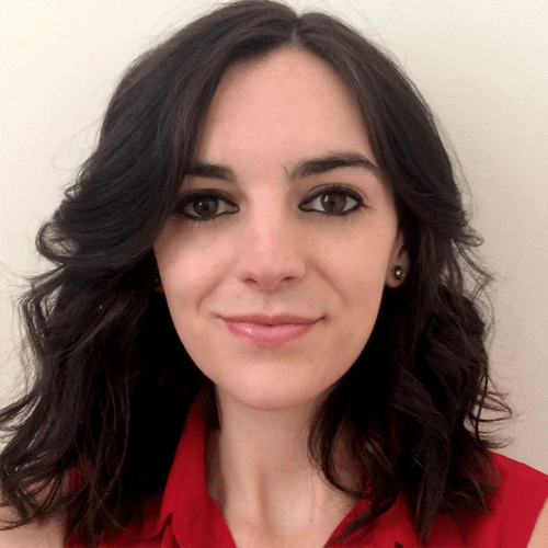 About Meet the Team