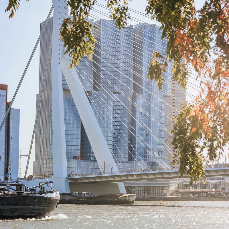 Living in Rotterdam | Find your new home at OurDomain
