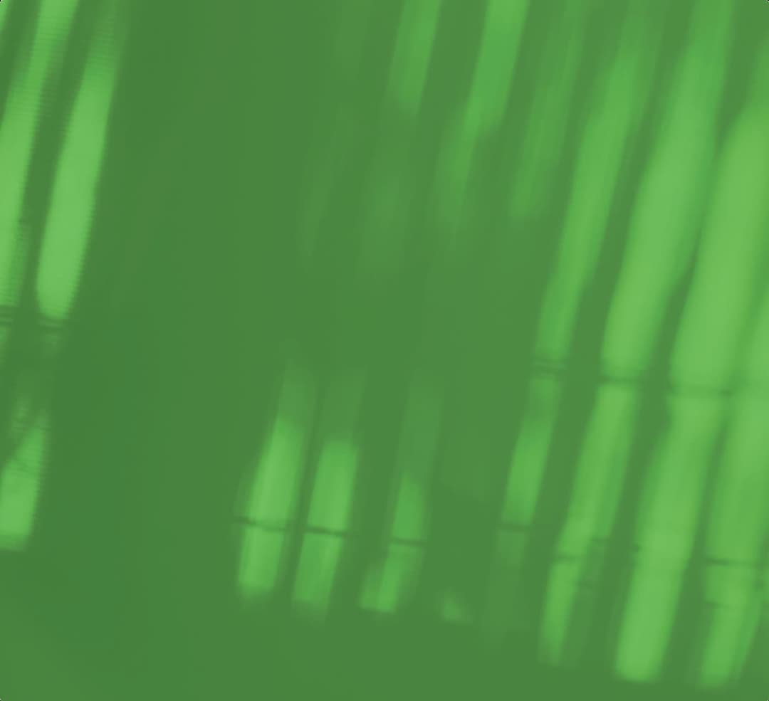 Payroll and HR Software | Greenshades