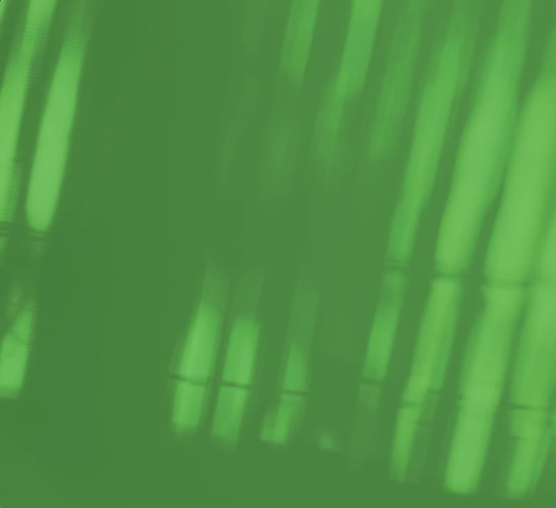 Payroll and HR Software | Greenshades