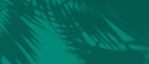 Automated Payroll Tax Compliance Solution | Greenshades