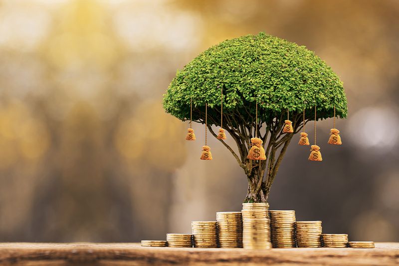 Understanding tthe 941 and the W-2 forms