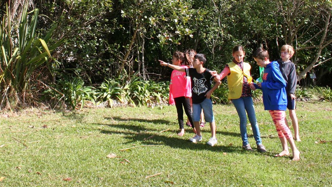 Exploring your Local Environment | Resources by NZAEE