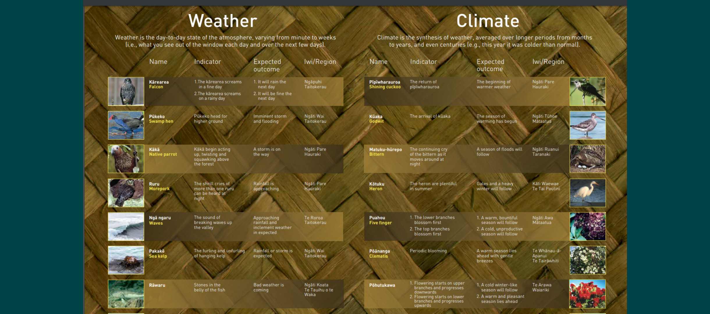 Traditional Māori Weather and Climate Forecasting | Resources by NZAEE