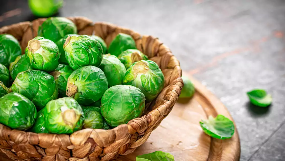 Dehydrated Brussels Sprouts | Commercial Dehydrators | Commercial ...