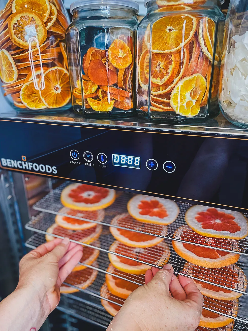 Commercial Dehydrators Australia | Dehydrated Fruits