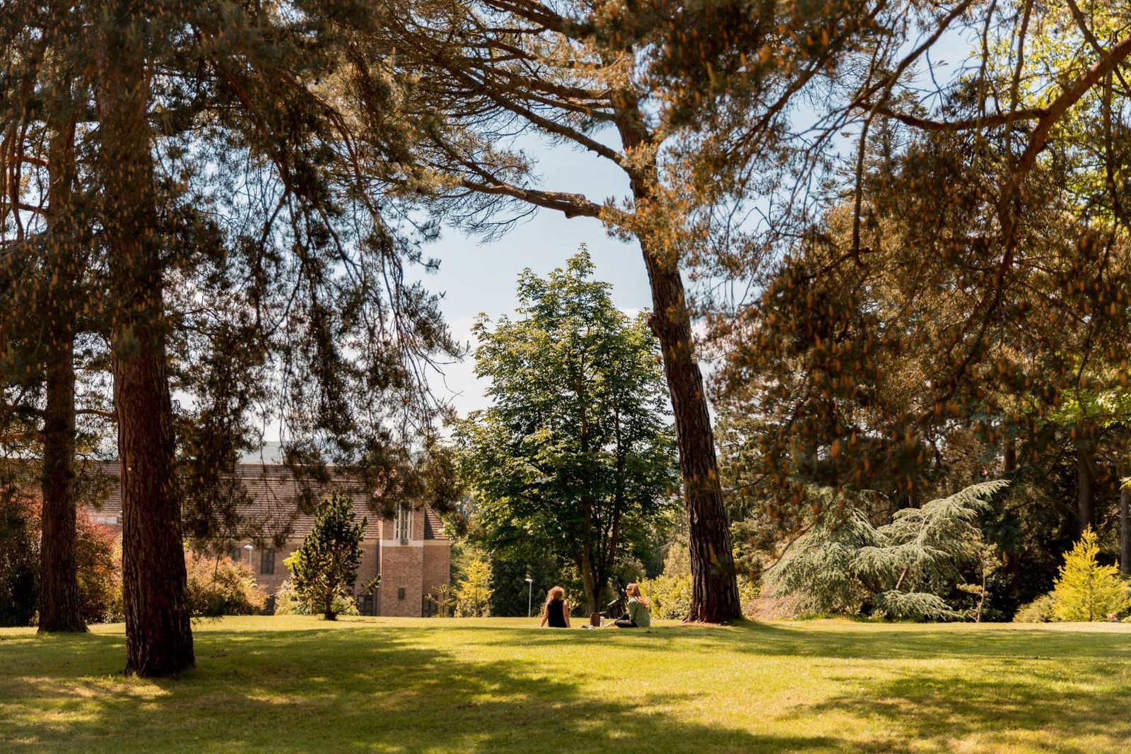 Exeter Students' Guild
