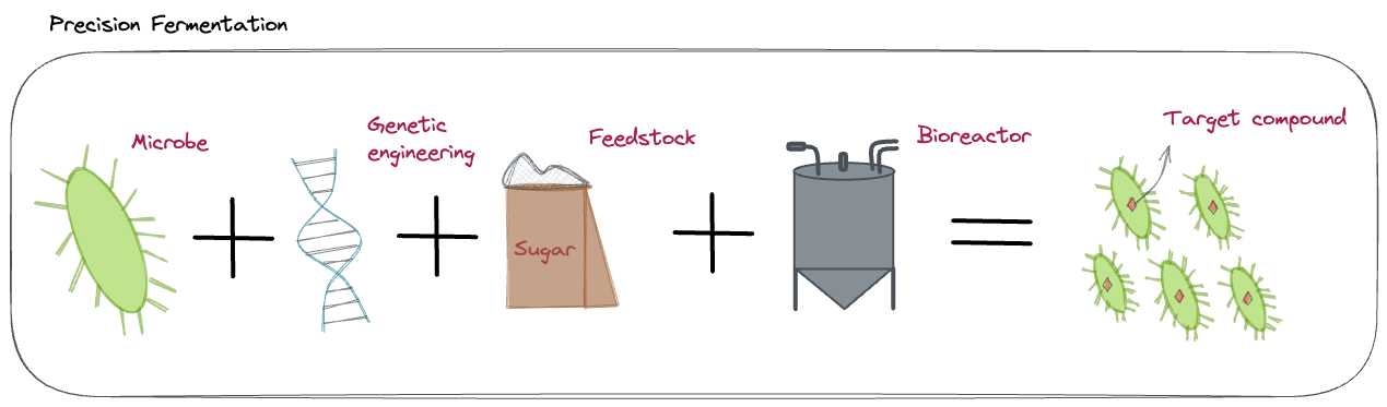 Challenges & Opportunities in Scaling Precision Fermentation