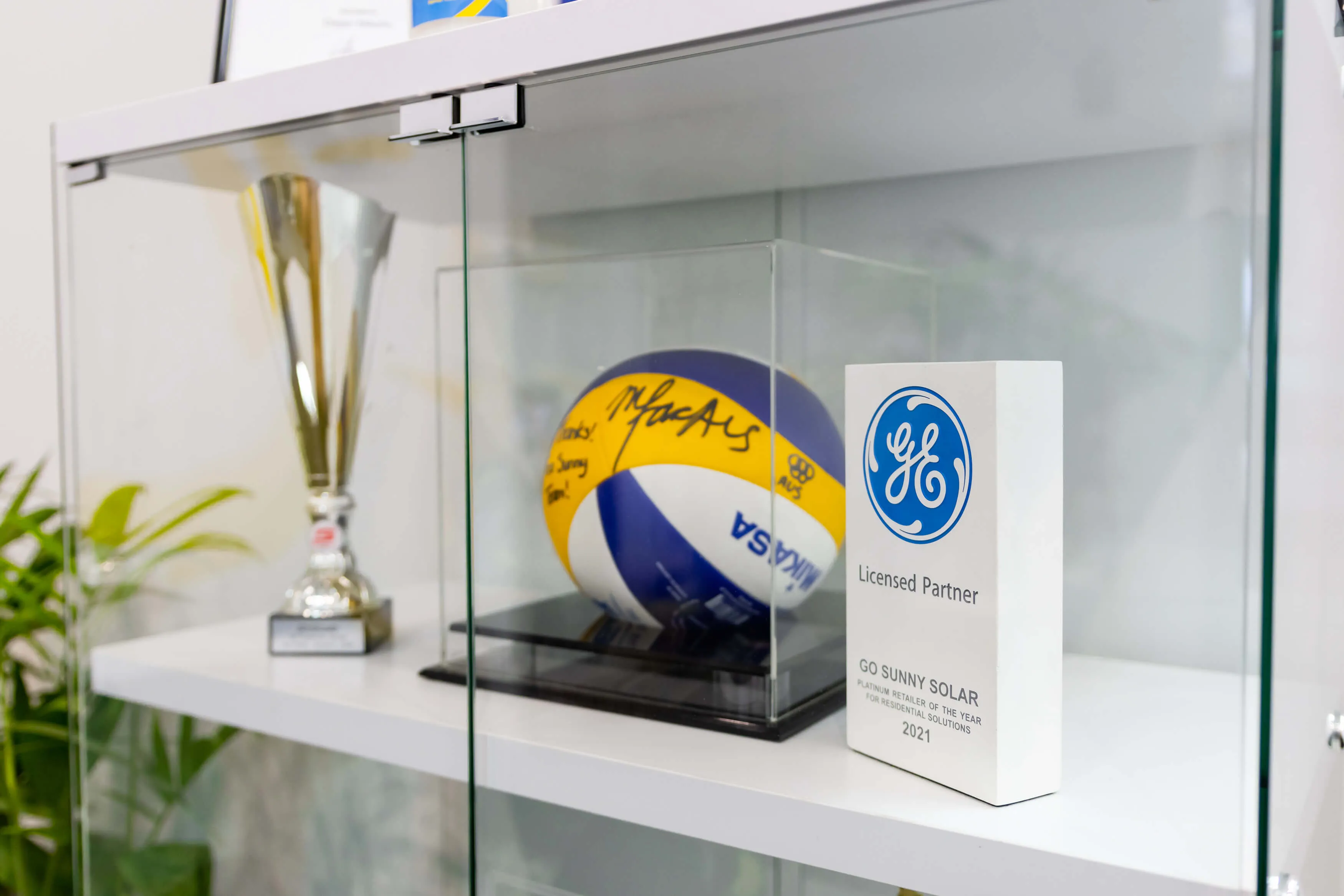 Go Sunny Partnerships