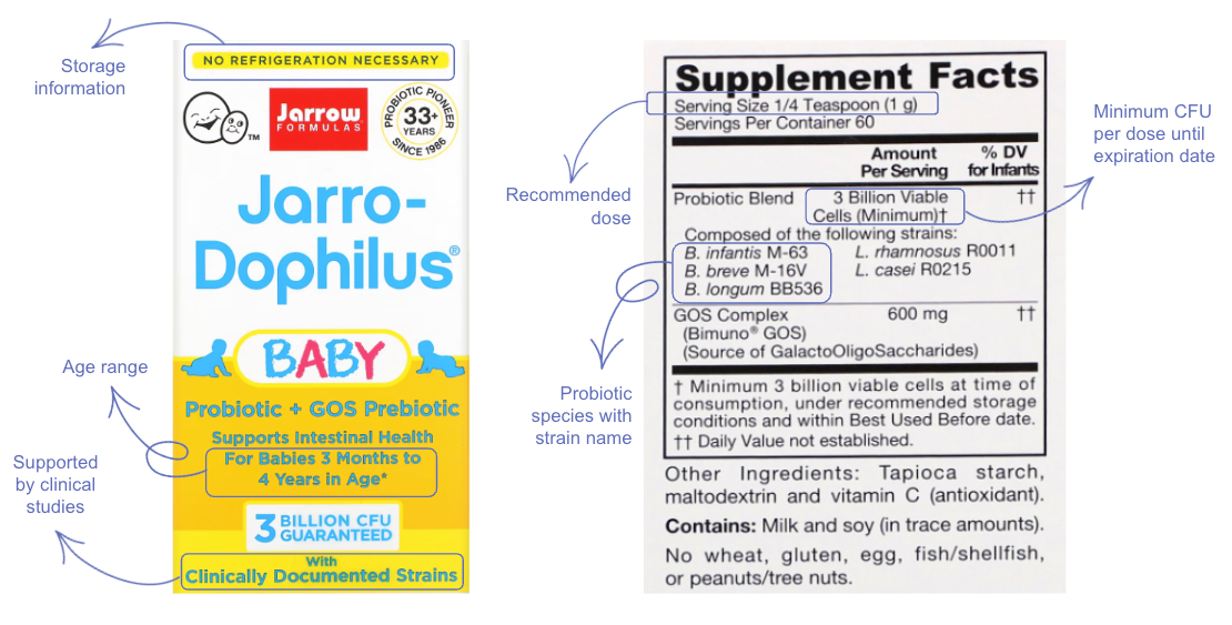 The Best Probiotic Supplement For Your Gut