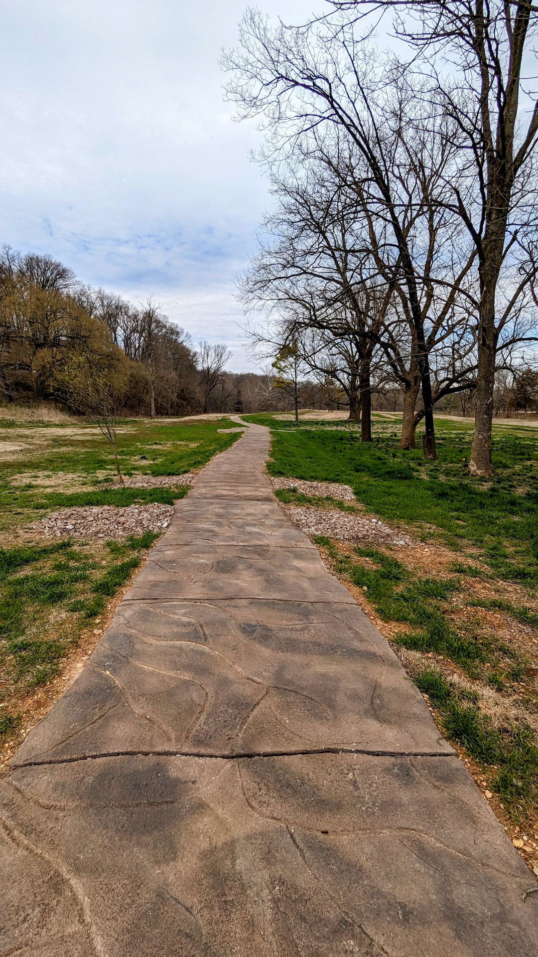 Discover Bella Vista