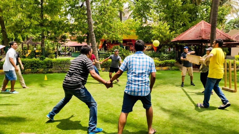 Jumboo Cricket - Activity Description | Trebound