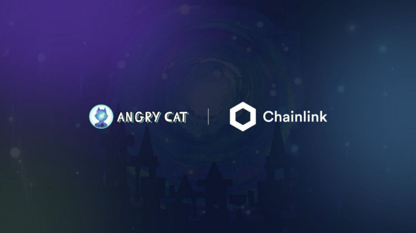 Angry Cat on Chainlink Ecosystem | Every Chainlink integration and ...